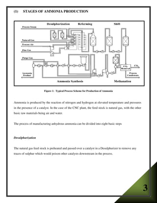 ammonia plant project.pdf