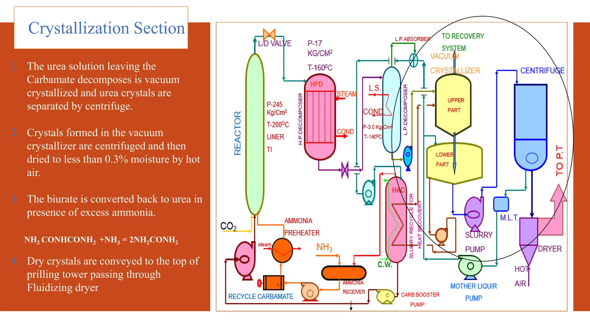 ammonia National Fertilizer Limited Bathinda | PDF
