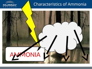 Ammonia Handling Safety Awareness Presentation | PPT