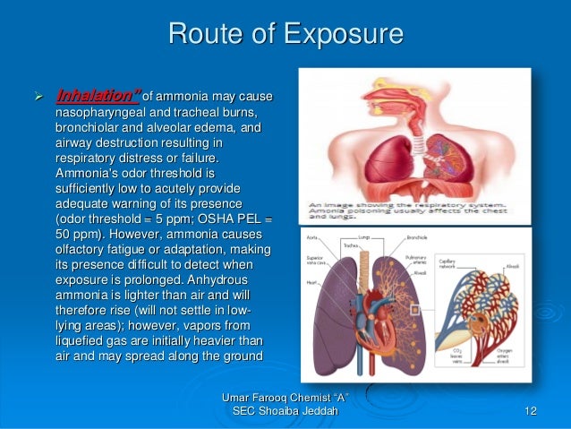 Ammonia use's & safety