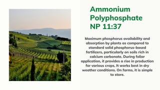 Ammonium polyphosphate NP 1137.pdf