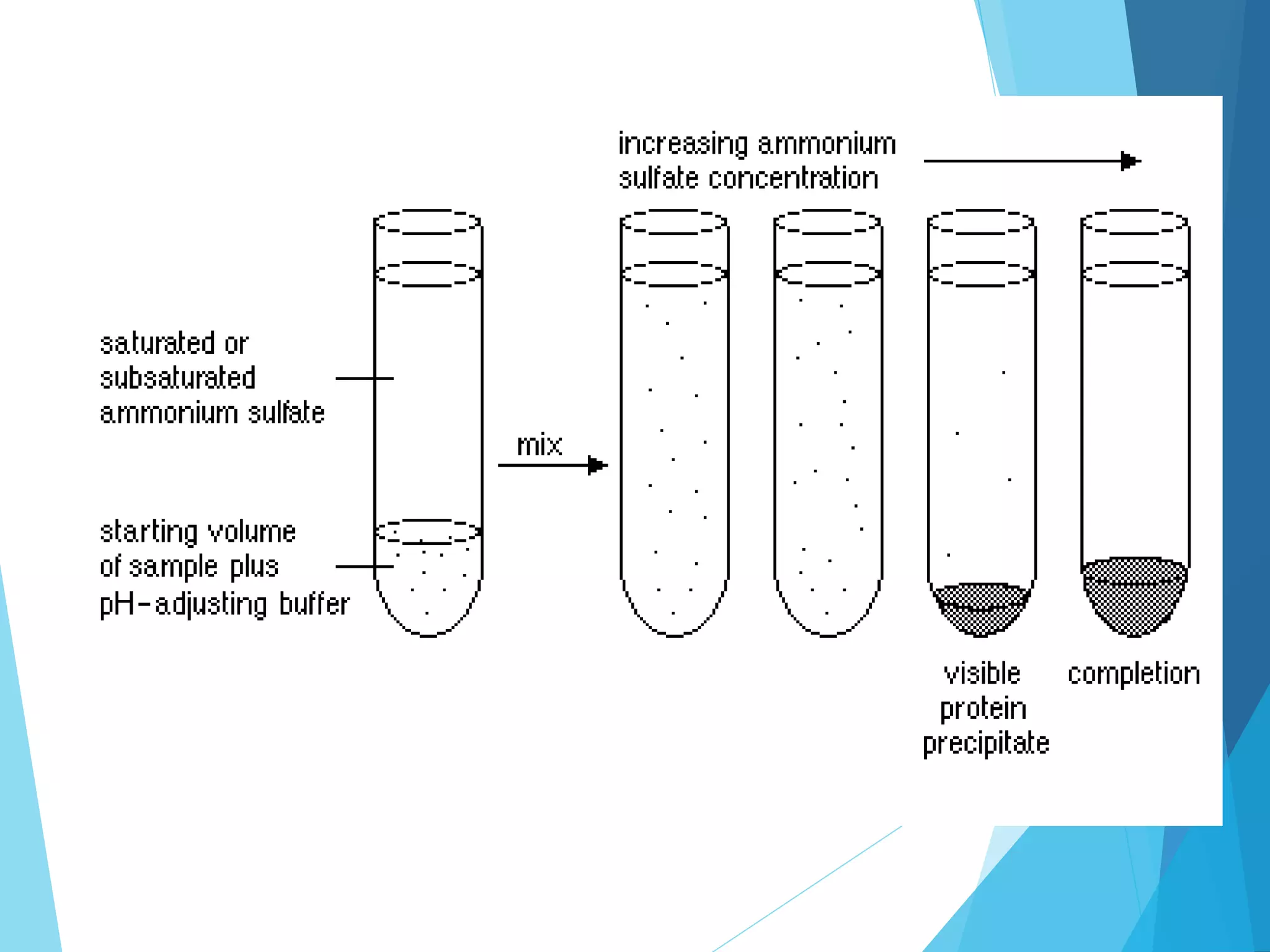 Ammonium sulphate precipitation | PPT
