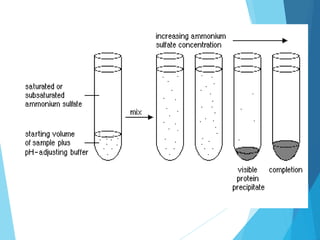 Ammonium sulphate precipitation | PPT