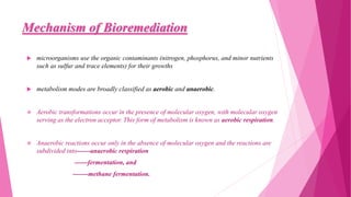 Bioremediation | PPTX