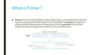 PRIMER DESIGNING | PPTX