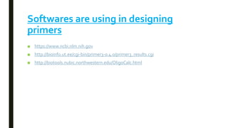 PRIMER DESIGNING | PPTX