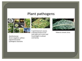 Interaction involving microorganisms(competitions, amensalism ...