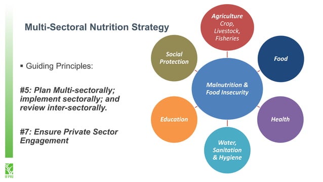 Pakistan’s Multi-Sectoral Nutrition Strategy | PPT