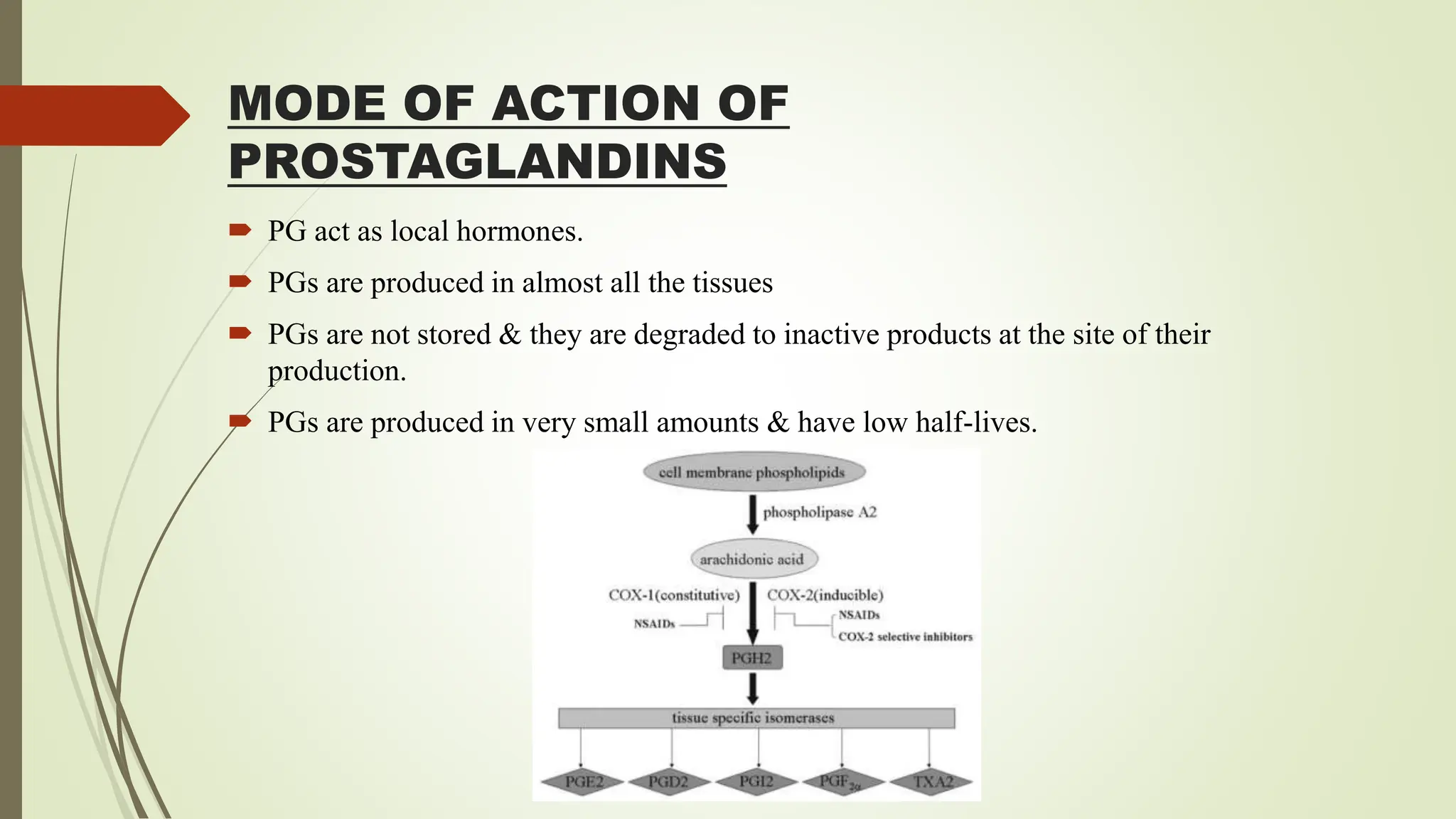 Prostaglandins | PPTX