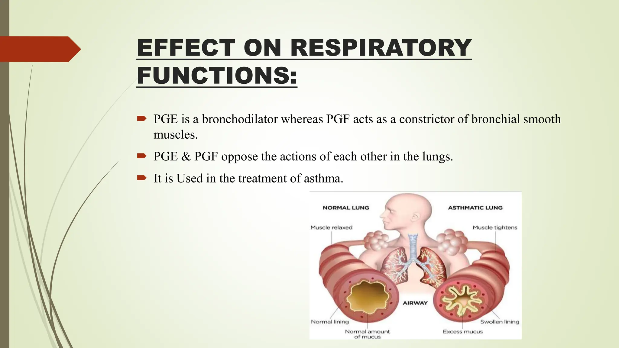 Prostaglandins | PPTX