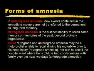 Amnesia | PPT | Free Download