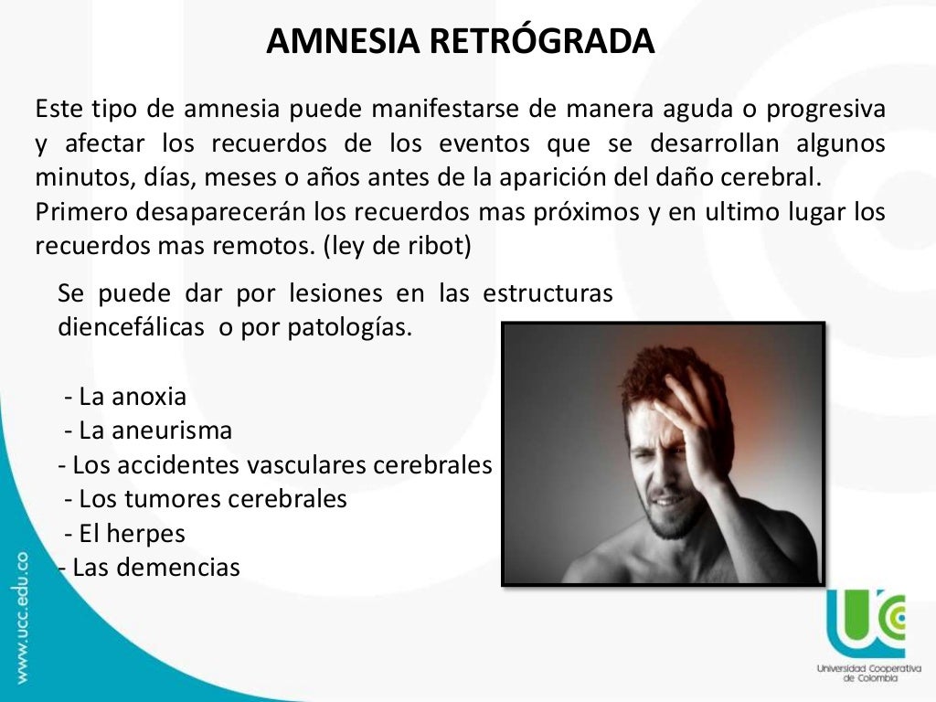 Amnesia (1)