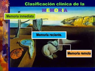 LA MEMORIA Y SUS TRASTORNOS | PPT