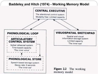 Amnestic disorders 2009 | PPT