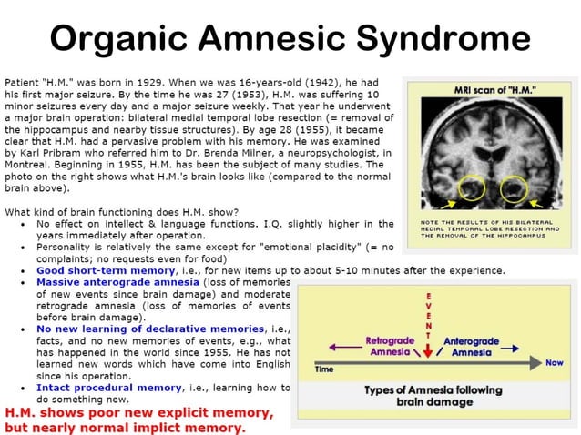 Amnestic disorders | PPT | Brain and Nervous System Disorders | Diseases and Conditions