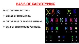 Amniocentesis ,CVS and karyotyping | PPTX