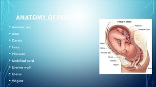Amniocentesis is a detection process to embrionic | PPT