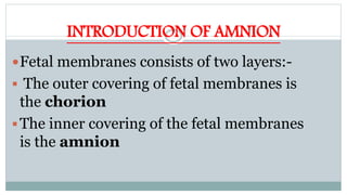 Amnion, amniotic fluid and cavity.enc