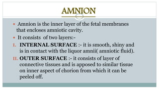 Amnion, amniotic fluid and cavity.enc | Pregnancy | Reproductive Health