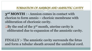 Amnion, amniotic fluid and cavity.enc