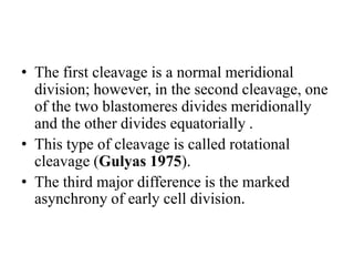 Amnion & early development | PPT