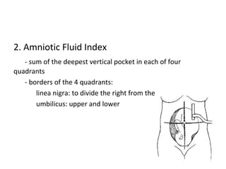 Amnionic fluid dynamics | PPT