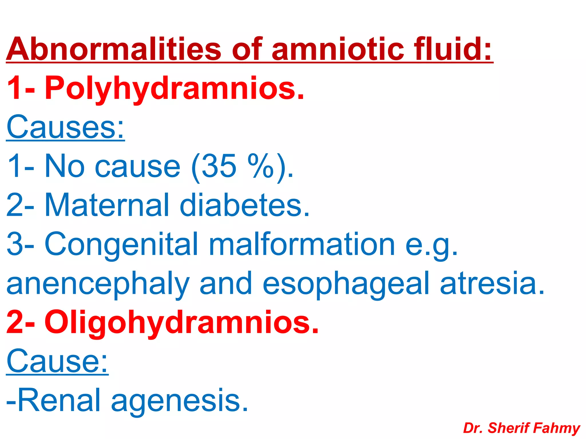 Amnion & Umbilical Cord (General Embryology) | PPS