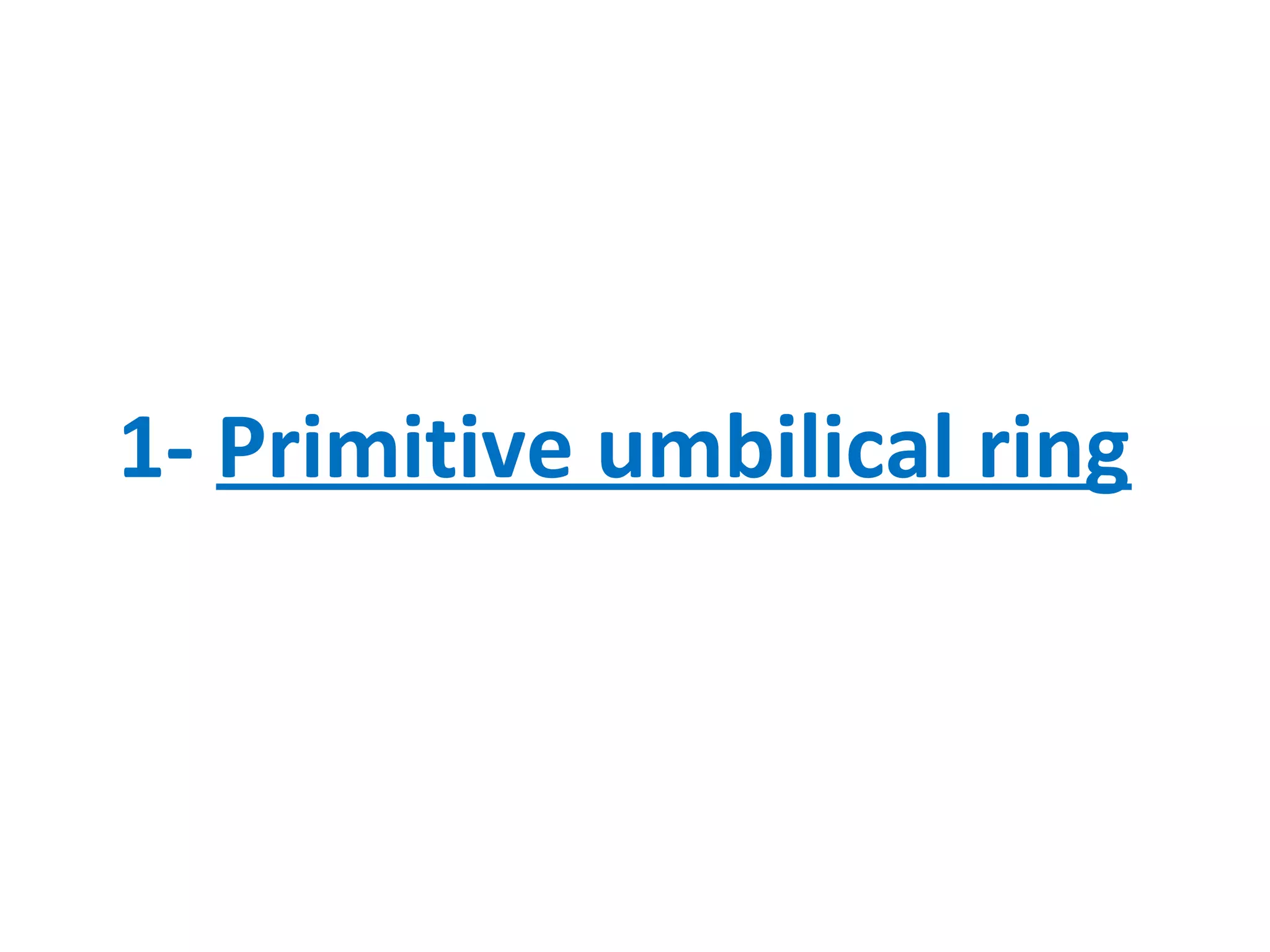 Amnion & Umbilical Cord (General Embryology) | PPS