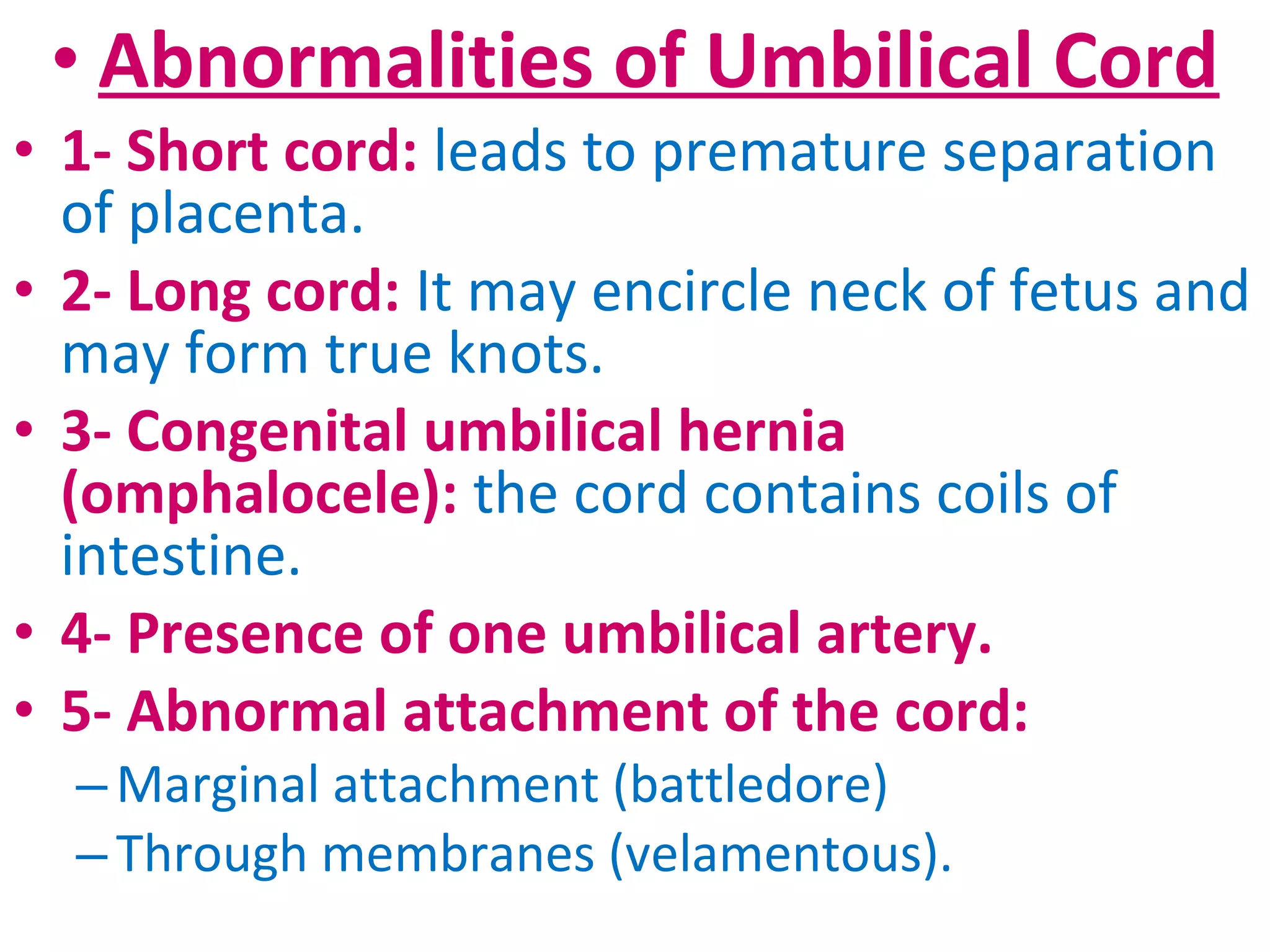 Amnion & Umbilical Cord (General Embryology) | PPS
