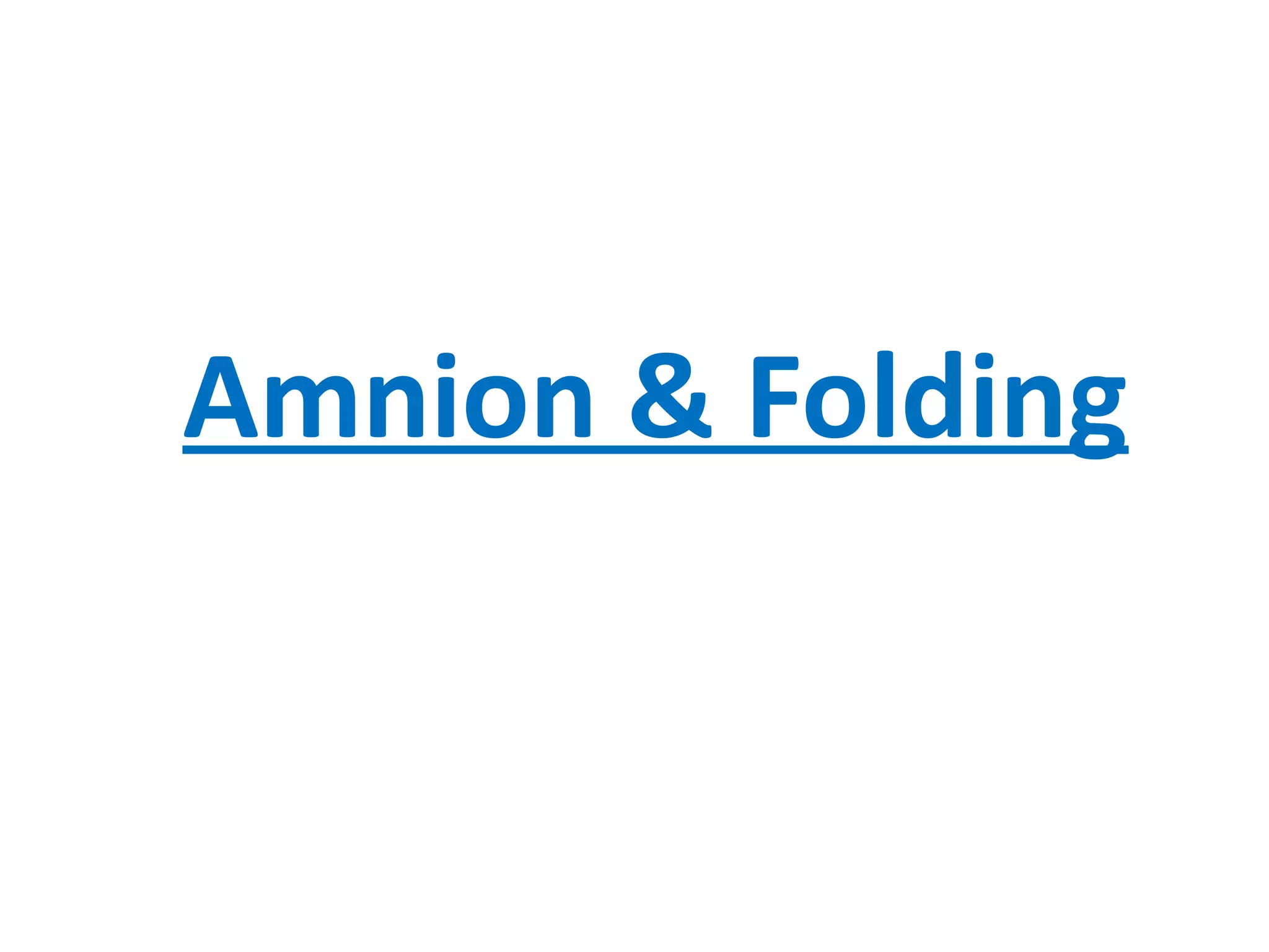 Amnion & Umbilical Cord (General Embryology) | PPS