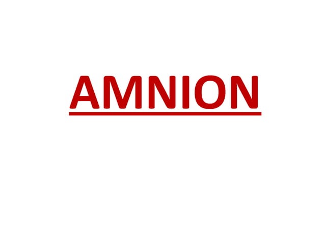 Amnion And Umbilical Cord General Embryology Ppt