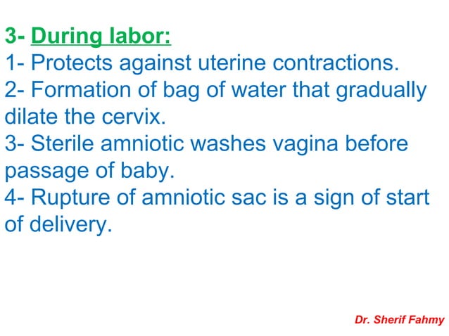 Amnion And Umbilical Cord General Embryology Ppt