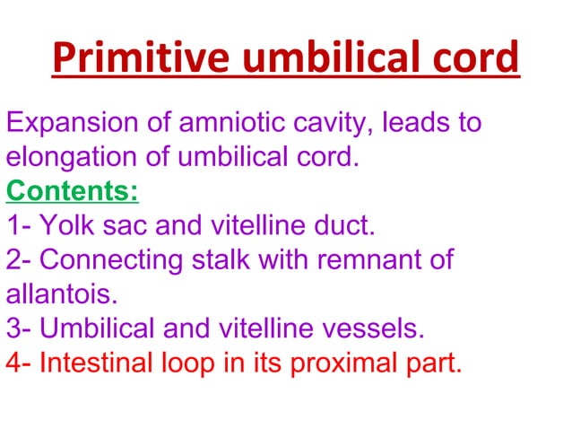 Amnion & Umbilical Cord (General Embryology) | PPS | Pregnancy ...
