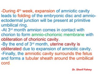 Amnion & Umbilical Cord (General Embryology) | PPS