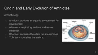 Amniote origins and nonavian reptiles | PPTX