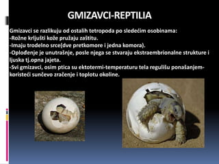 Gmizavci | PPTX