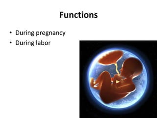 Amniotic cavity.pptx