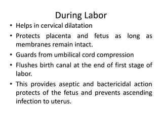 Amniotic cavity.pptx