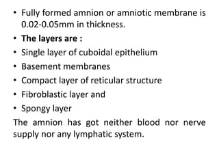 Amniotic cavity.pptx