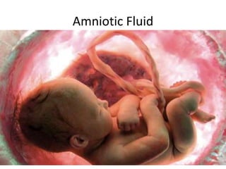 Amniotic cavity.pptx