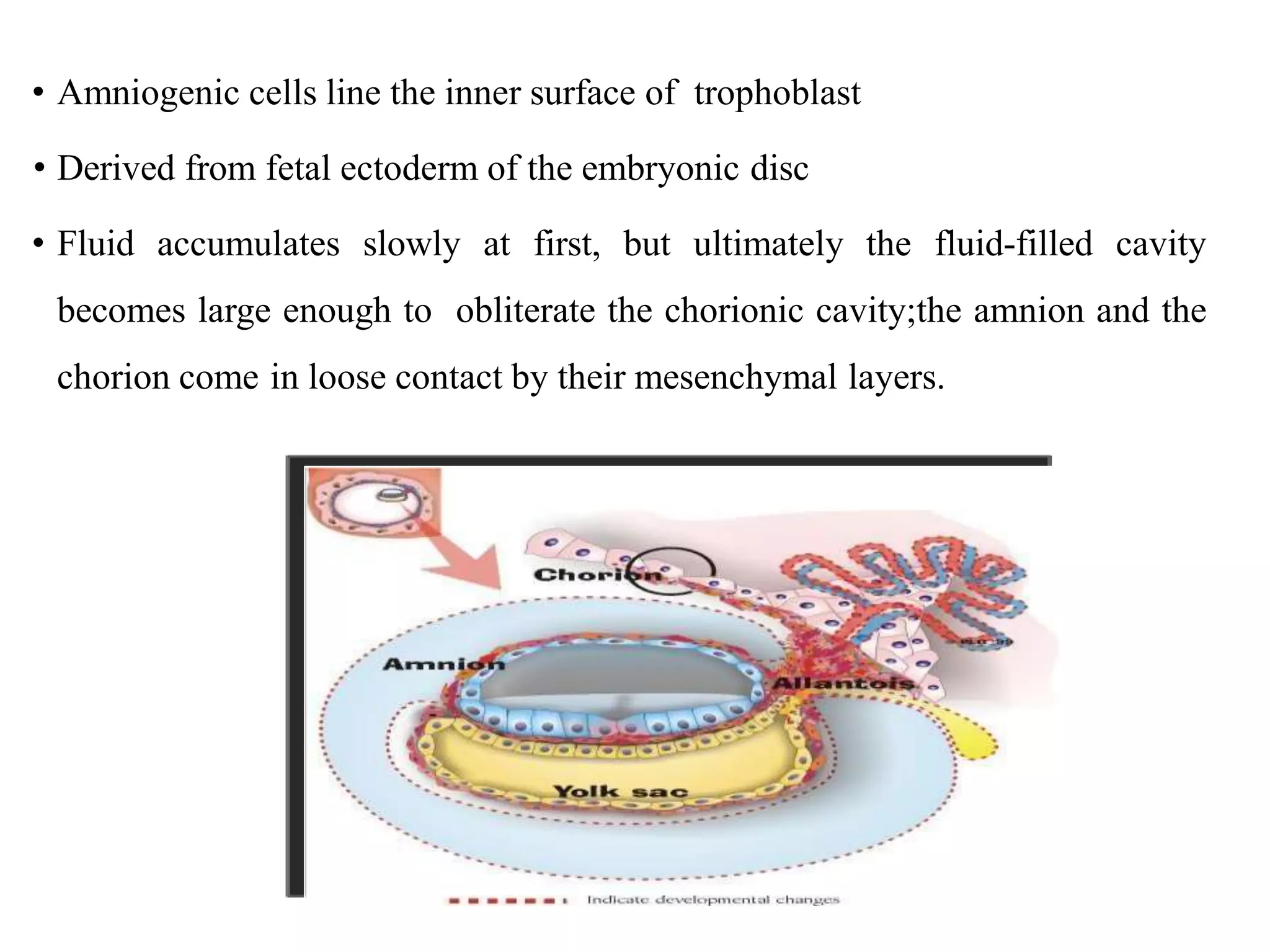 Amniotic fluid.pptx
