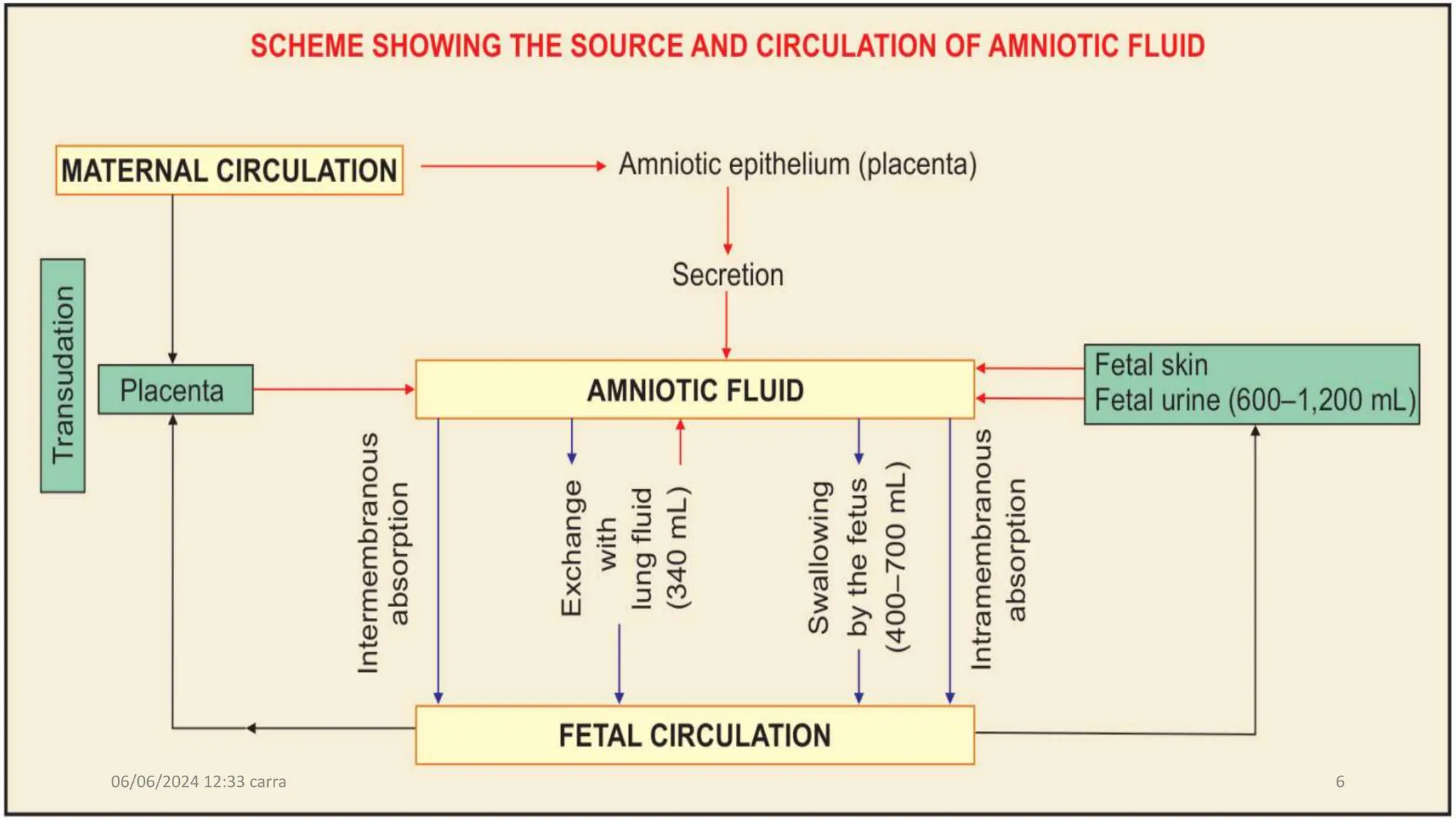 Amniotic Fluid powerpoint presentation 2023 | PPT