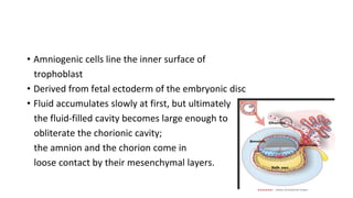 amniotic fluid dynamics of amniotic fluid | PDF