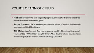 Amniotic Fluid: The Unsung Hero of Pregnancy 🍼 | PPT