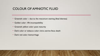 Amniotic Fluid: The Unsung Hero of Pregnancy 🍼 | PPT
