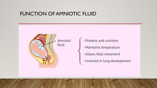 Amniotic Fluid: The Unsung Hero of Pregnancy 🍼 | PPTX