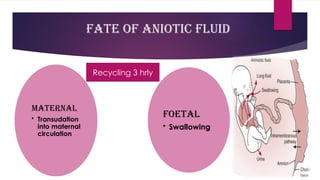 amniotic fluid disorders Presentation (1).pptx