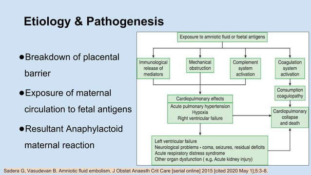 Amniotic fluid embolism | PPTX