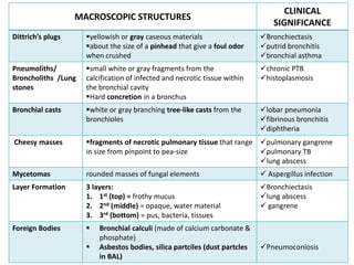Amniotic fluid,hcg, sputum, bal & sweat | PPTX