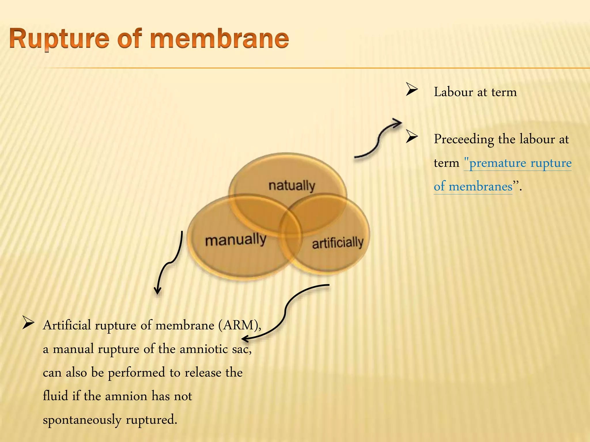Amniotic fluid ppt | PPTX